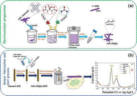 Schematic Illustrations Of A Copcgqds Catalyst Preparation B
