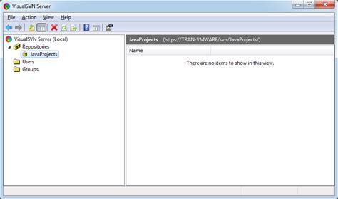 Install And Manage Visual Svn Server