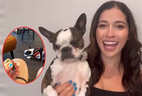 La Inesperada Solución De Una Mujer Para Pasear Con Su Perro Al No