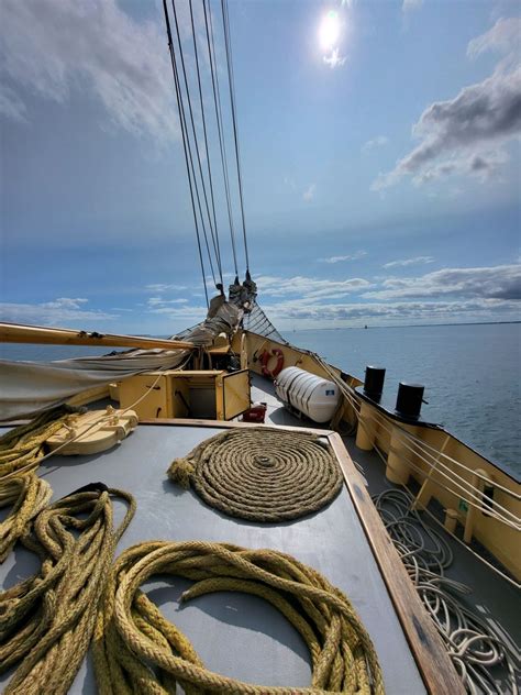 Vinoth Kumar Manikandan On Linkedin Hapaglloydag Gcc Alphacohort2024 Anchorsaweigh Teamwork