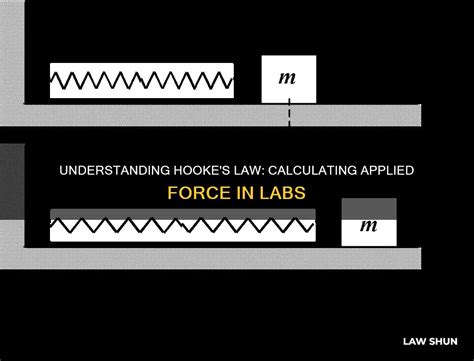 Understanding Hookes Law Calculating Applied Force In Labs Lawshun
