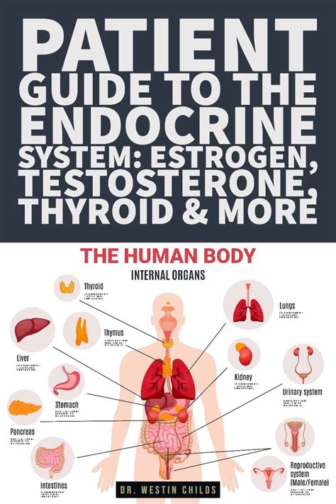 Patient Guide To The Complete Endocrine System All Hormones Tests Artofit