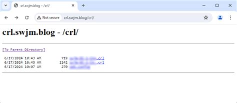 Publishing Certificate Revocation Lists Crls Using Microsoft Iis A