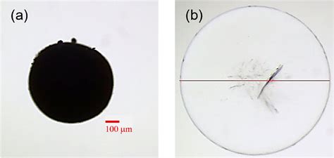 Figure 1 From Determination Of Density Of Starch Hydrogel Microspheres