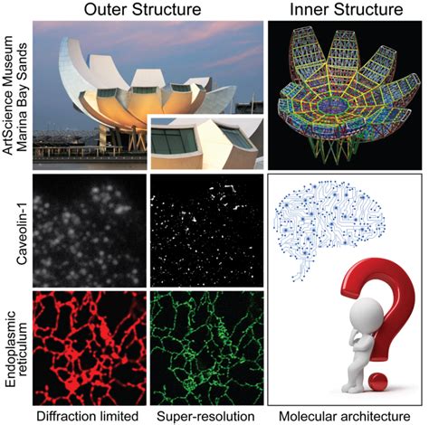 Molecular Architecture By Srm The Top Row Shows Outer Left And Inner