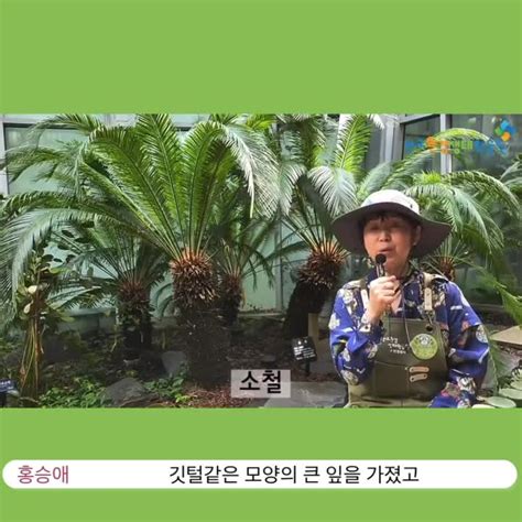 판교환경생태학습원의 꽃🌸” 시민정원사와 함께하는 정원 산책 영상 첫 번째는 열대온실 이야기입니다🙂 판교환경생태학습원 실내온실에서 다양한 열대식물들을 만나 볼 수 있는데요