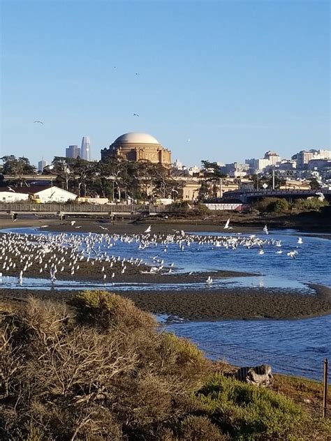 Midterm Magic The Sequel Diagram Quizlet