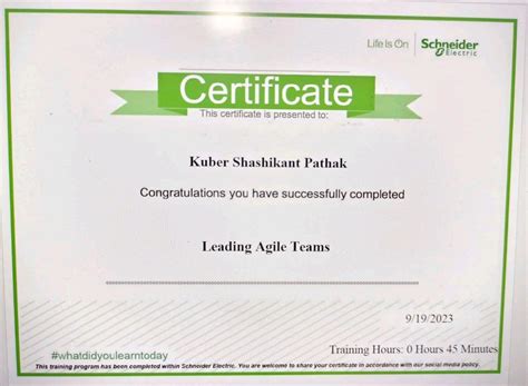 Learneveryday Lifeison Schneiderelectric Kuber Pathak