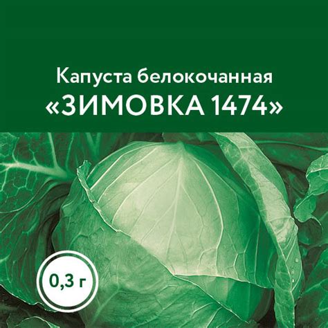 Капуста – Овощи – Семена – купить саженцы оптом и в розницу – питомник ...