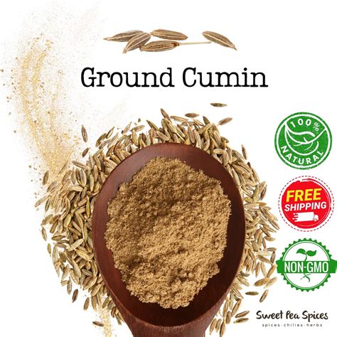 Freshly Ground Cumin Powder Aromatic Spice For Curries And Rubs Etsy