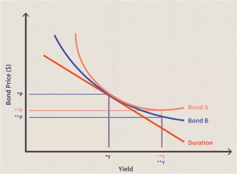 What Is Bond Convexity A Guide To Bond Convexity LearnBonds Com