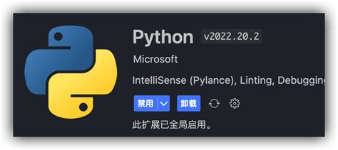 Python Analysis CompleteFunctionParens Invalid Issue Microsoft Pylance Release GitHub