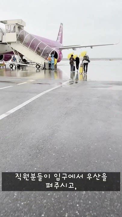 피치못해 이용한다는 피치항공 후기 오사카 항공권 추천 Youtube