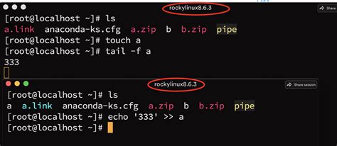 Linux常用的查看文本内容的命令有哪些Linux常用命令详解 不念博客