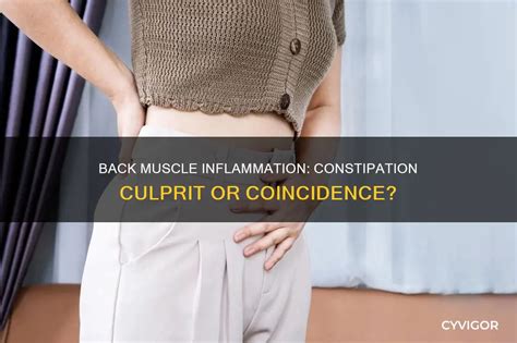 Back Muscle Inflammation Constipation Culprit Or Coincidence Cyvigor