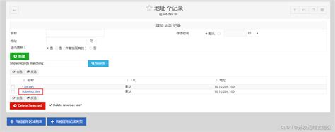 docker compose快速启动DNS服务器 运维开发玄德公 博客园