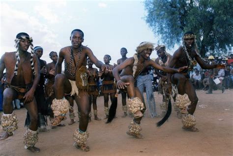The Traditional Economy Of The Tsonga