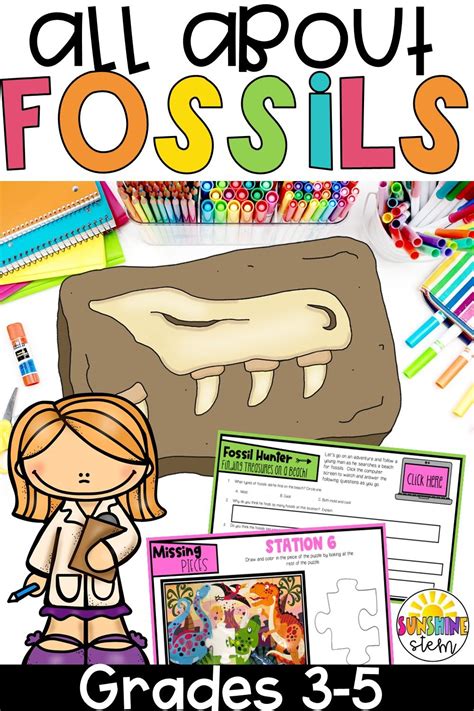 All About Fossils Ngss Unit Aligned With 3 Ls4 1 And 4 Ess1 1 Fun