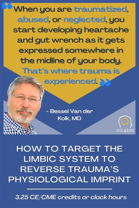 Limbic System Of The Brain And Trauma