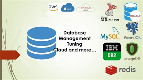 Do Any Database Administration Task Relational And Non Relational By Miloayanami Fiverr