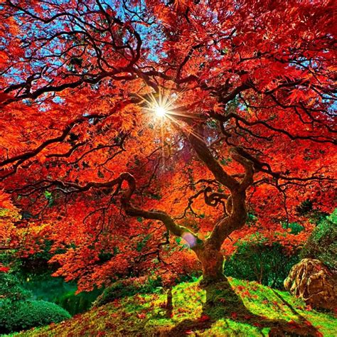 Autumn Tablet Wallpapers Wallpaper Cave