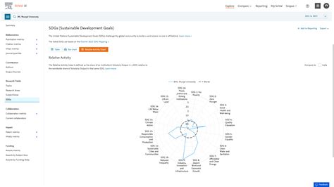 Sdg 17 Partnerships For The Goals Bmu
