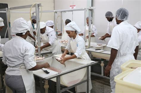Fin Fish Handling And Processing Module 101 Caribbean Fisheries Fin Fish Handling And Processing Module 101 Caribbean Fisheries