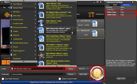 easily remove audio track from mkv without conversion using bigasoft