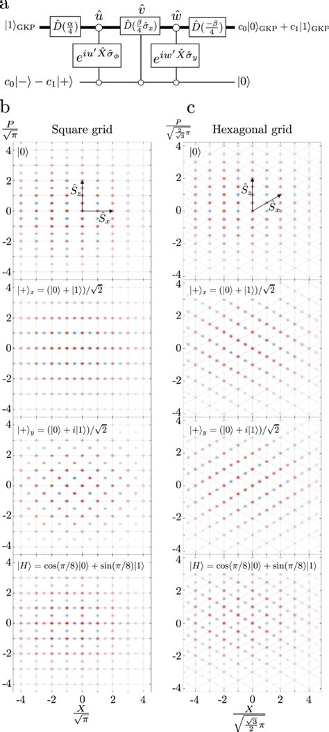 Measurement Free Preparation Of Grid States Npj Quantum Information