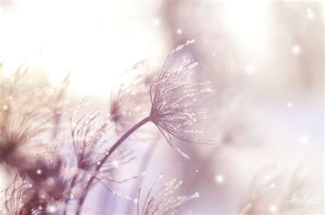 Гороскоп на 12 січня для всіх знаків зодіаку день коли потрібно укладати важливі угоди