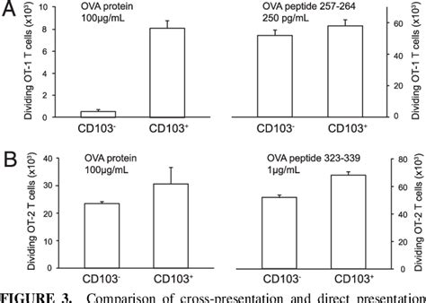 Figure 1 From Formed Dendritic Cells Cross Presentation Function By