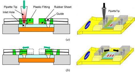 The World To Chip Microfluidic Interfacing Method With