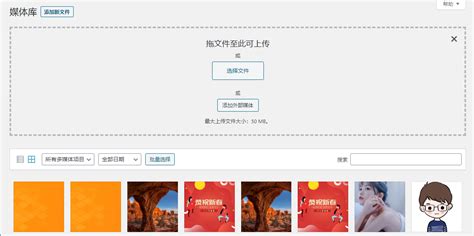 将外链图片添加到wordpress媒体库中的插件：external Media Without Import Csdn博客