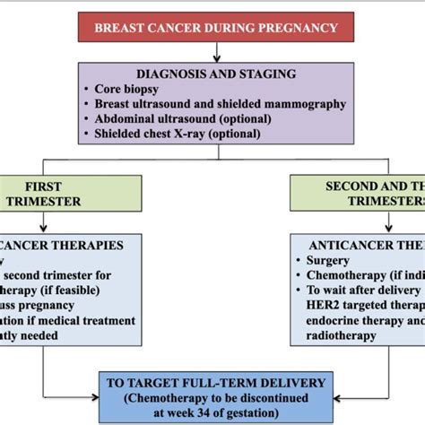 Suggested Algorithm For The Management Of Patients With Breast Cancer