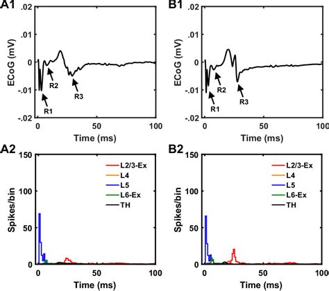 Figure 14 From Model Based Deconstruction Of Cortical Evoked Potentials Generated By Subthalamic
