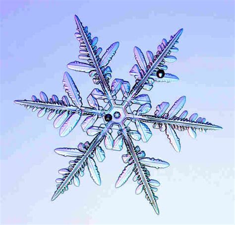 Snowflake Shapes Shine Under The Microscope Snowflake Photography