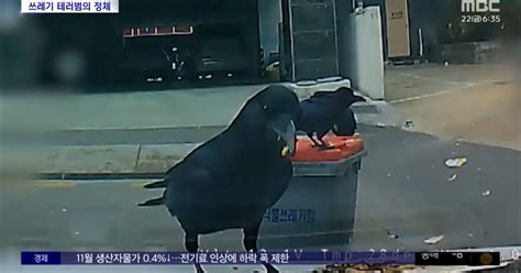 와글와글 차량에 쓰레기 테러‥블랙박스에 찍힌 범인은
