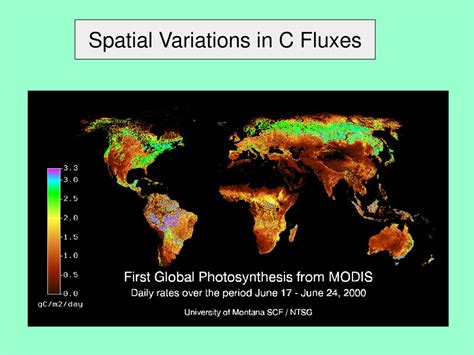 Dennis Baldocchi Espmecosystem Science Div Ppt Download