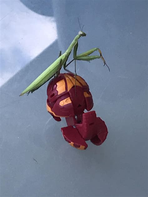 Mantonoids Met A Real Mantis R Bakugan