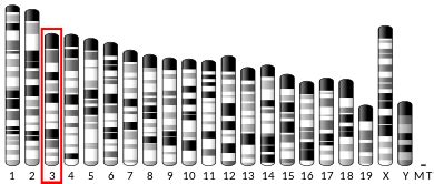 HIPK1 - Wikipedia