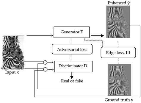 Sensors | Free Full-Text | Cross-Sensor Fingerprint Enhancement Using Adversarial Learning and ...