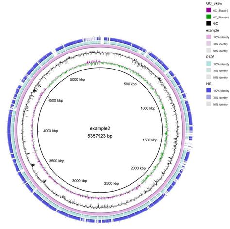 Brig∣原核生物比较基因组圈图展示神器 生信人