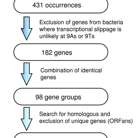Scheme For Functional Analysis Of Slippery Patterns In Coding Sequences Download Scientific