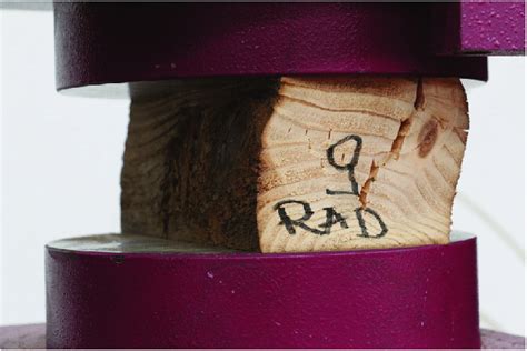 A Sample Under Radial Compression Download Scientific Diagram