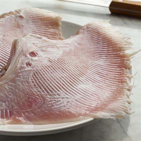 Ali Di Razza Titan Carni Srl