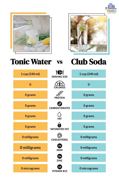 Difference Between Tonic And Club Soda Sfspf