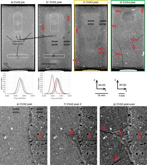 X Ray Computed Tomography Reconstructions Of Samples For All Images Download Scientific