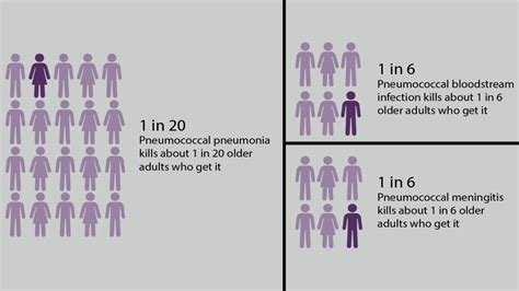 Pneumococcal Disease In Adults And Vaccines To Prevent It