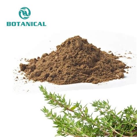 China Thyme Leaf Extract Suppliers Manufacturers Factory Wholesale