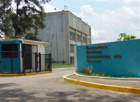 La Uney Iniciará En Septiembre Inscripciones Para Matricula De Nuevo Ingreso Uney